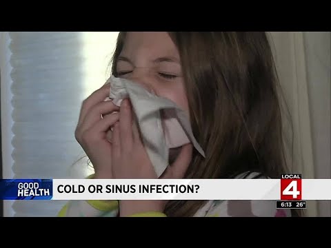 Cold or sinus infection?