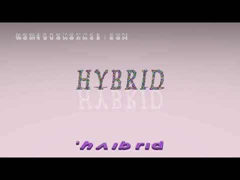 hybrid - pronunciation + Examples in sentences and phrases
