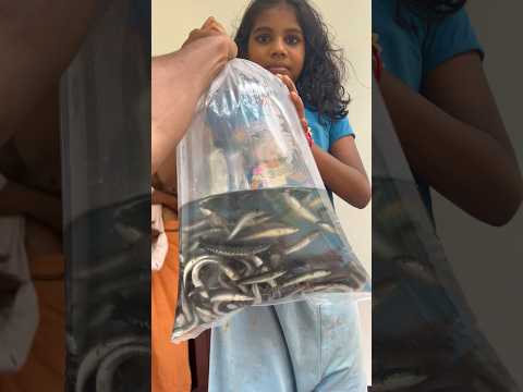 #snakehead #varalshorts #fishingvideo #fishing