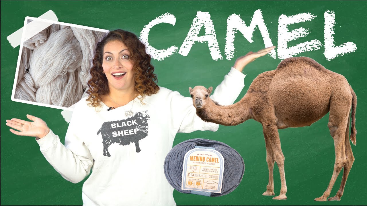 What is Camel Yarn? 🐫 - Yarn University #7