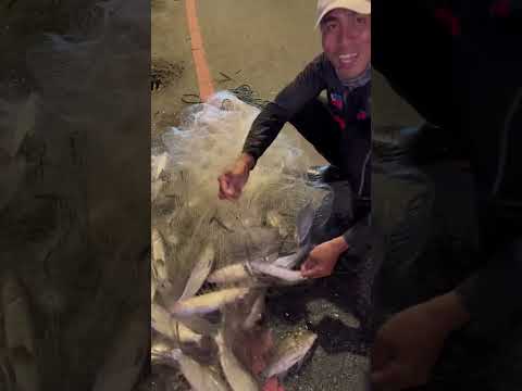 Fishing time