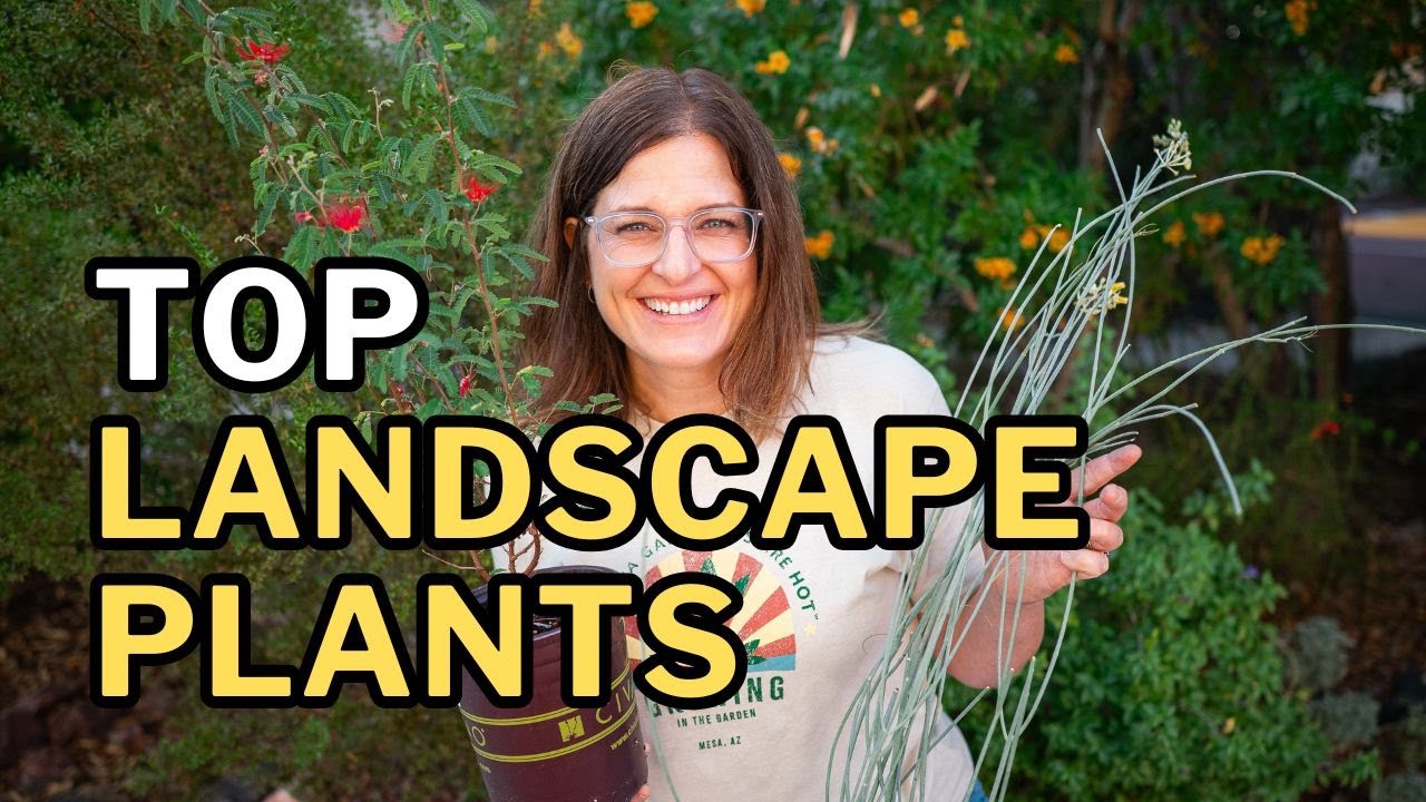 10 BEST SHRUBS for a Beautiful DESERT Landscape (and 3 to Skip)