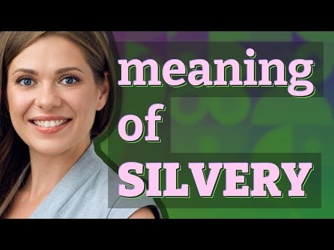 Silvery | meaning of Silvery