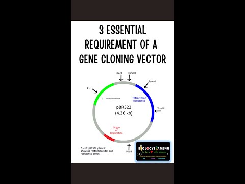 3 Essential Requirements of a Gene Cloning Vector