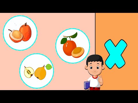 Words That Start With Letter X For Kids |3 Words From X | X Words Vocabulary | Kids Learning Video