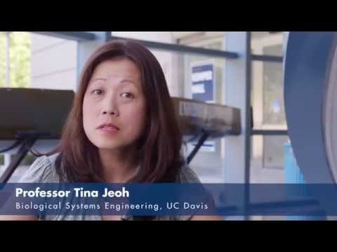Biological Systems Engineering Major at UC Davis