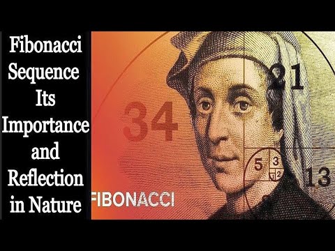 Fibonacci Sequence Its Importance and Reflection in Nature
