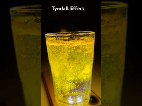 Science Experiment, Tyndall Effect #education #viral #science #viralvideo #chemistry #physics