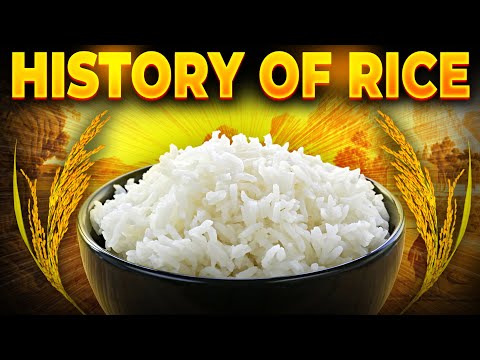No Rice, No Life - The Entire History Of Rice