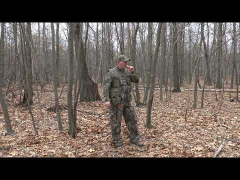 ESH Custom Calls | Pileated Woodpecker Call