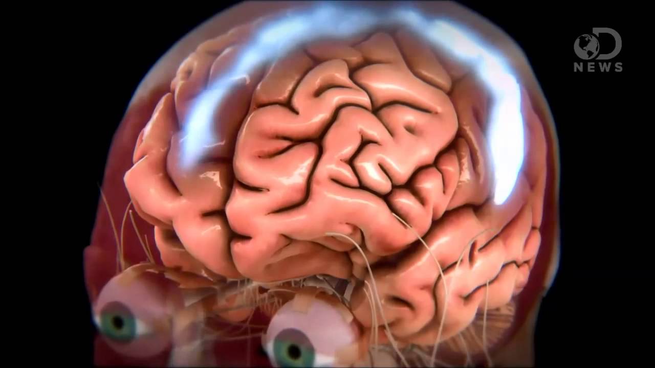 Brain Activity Map explained by Science Director at the 2045 Foundation