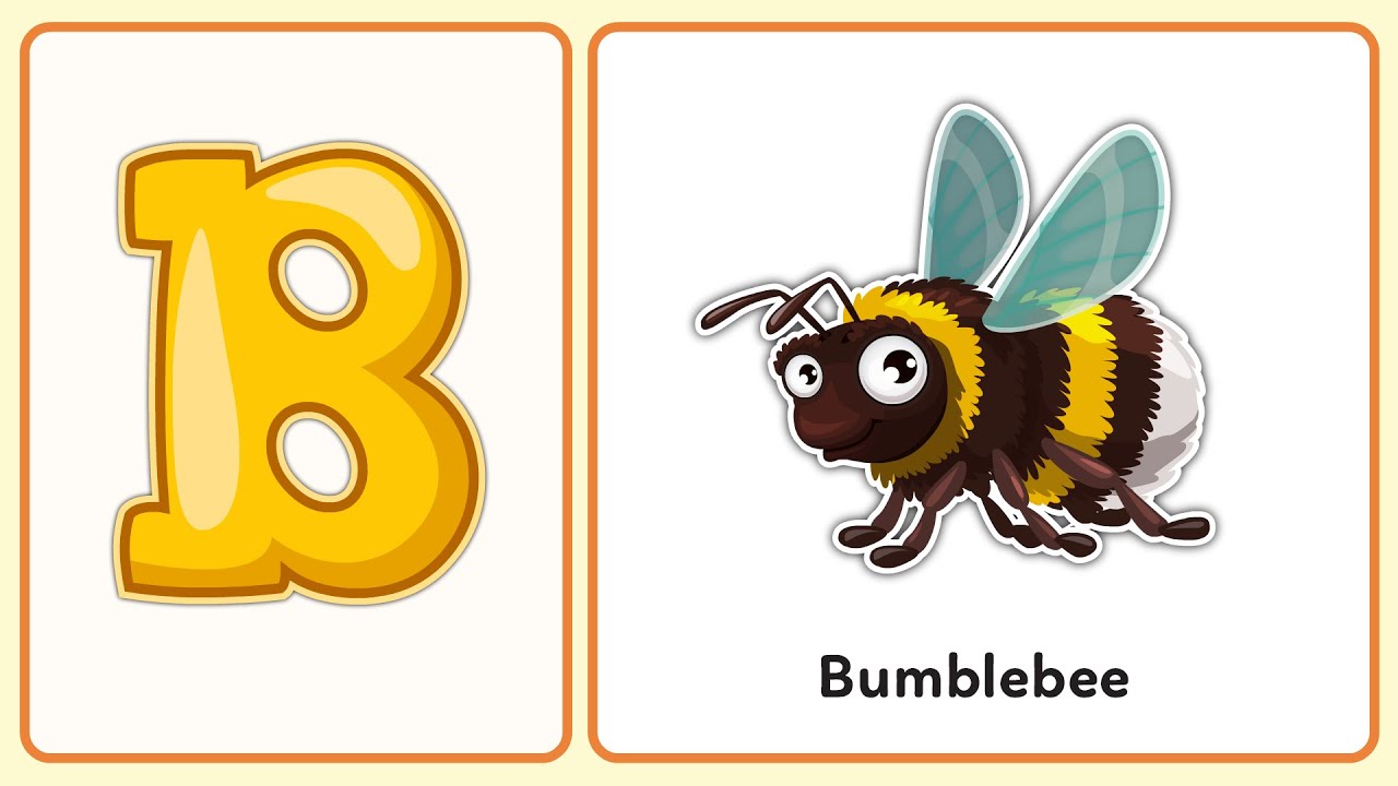 ABC Alphabet Insects | Insects ABC | Animal ABC | Learn the alphabet with Insects and Bugs.
