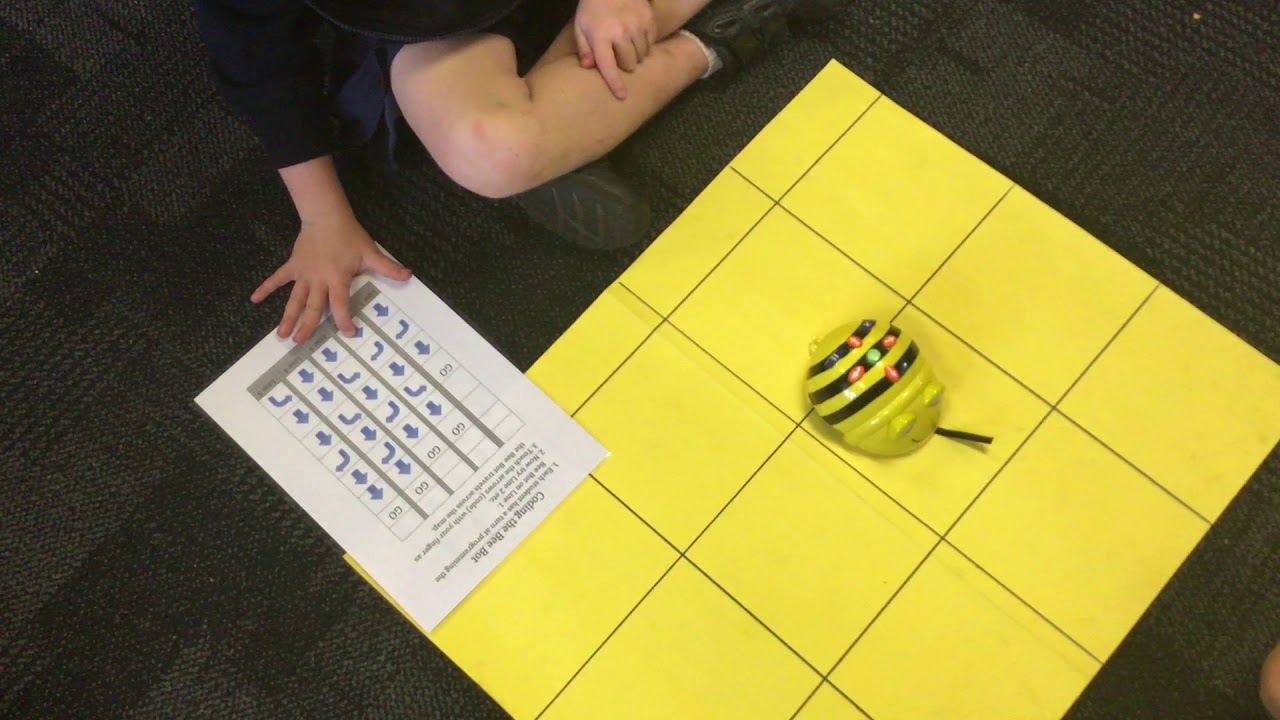 Learning about Coding Commands with Bee Bots