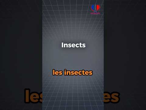 Explore the world of insects in French with Oui Frenchh! 🇫🇷 Learn to say #LearnFrench #OuiFrenchh"