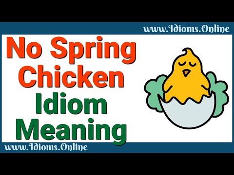 No Spring Chicken Meaning - Idiom Examples and Origin