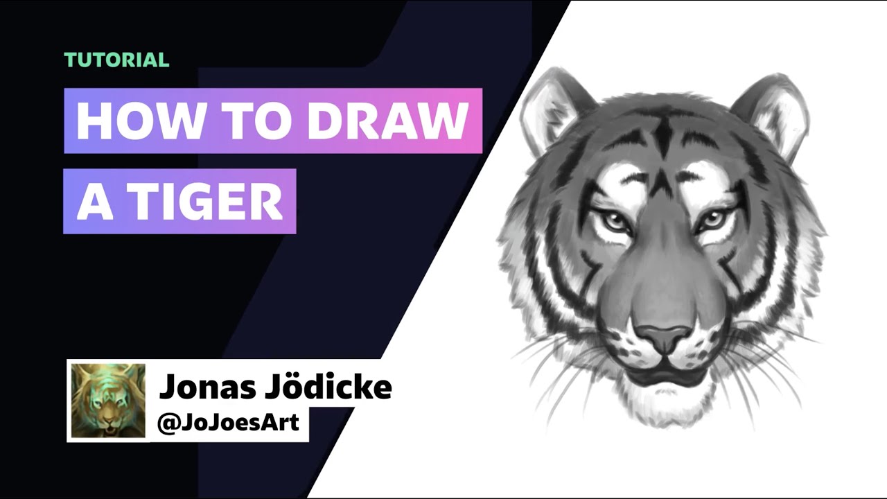 How to draw a Tiger w/ JoJoesArt | DeviantArt Tutorials