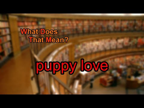 What does puppy love mean?