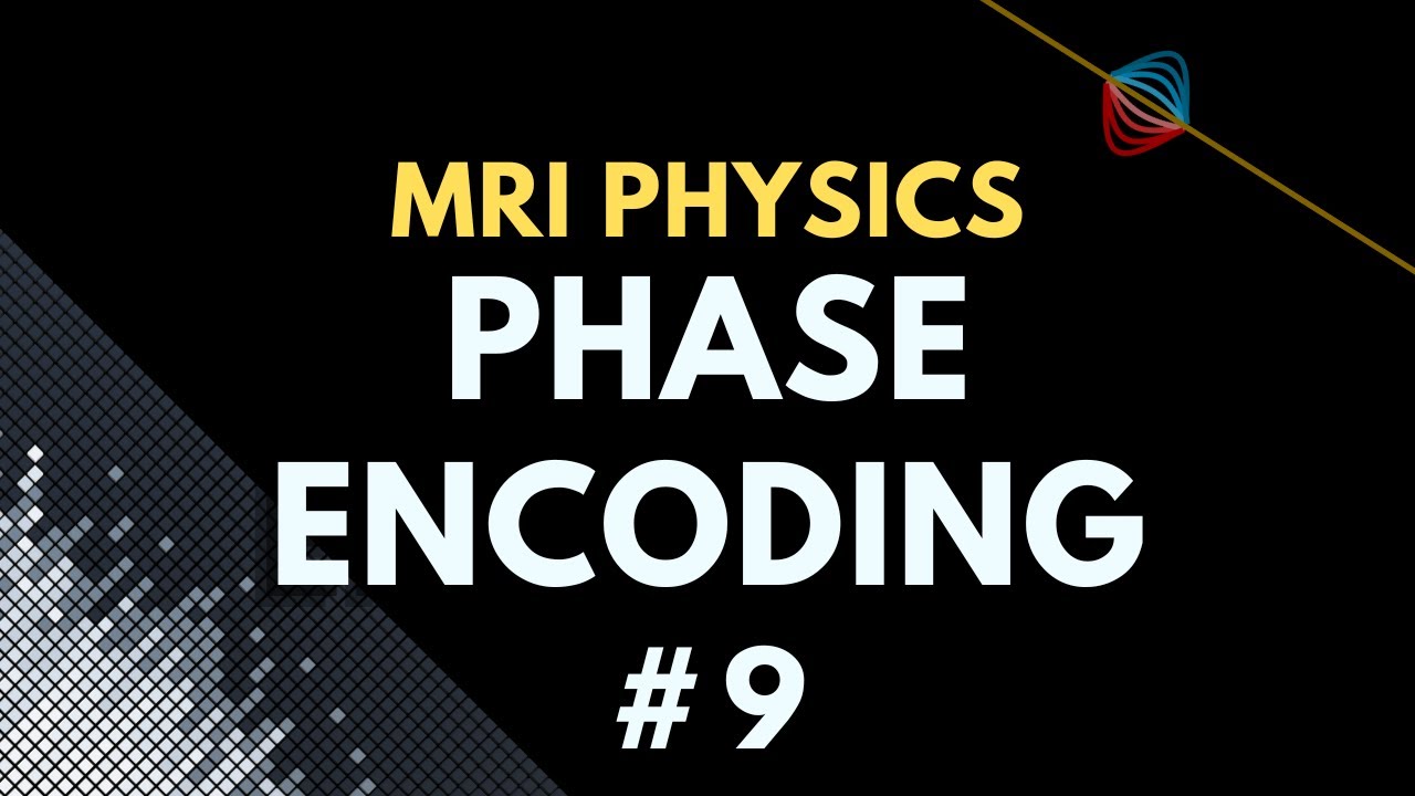 Understanding Phase Encoding Gradient In Mri A Comprehensive Guide 8714