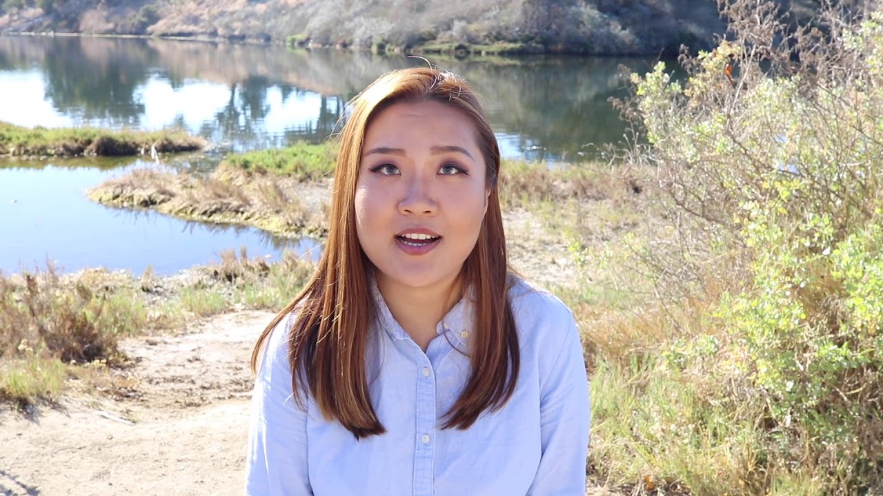 Jing Lan NYU Wagner Video Essay