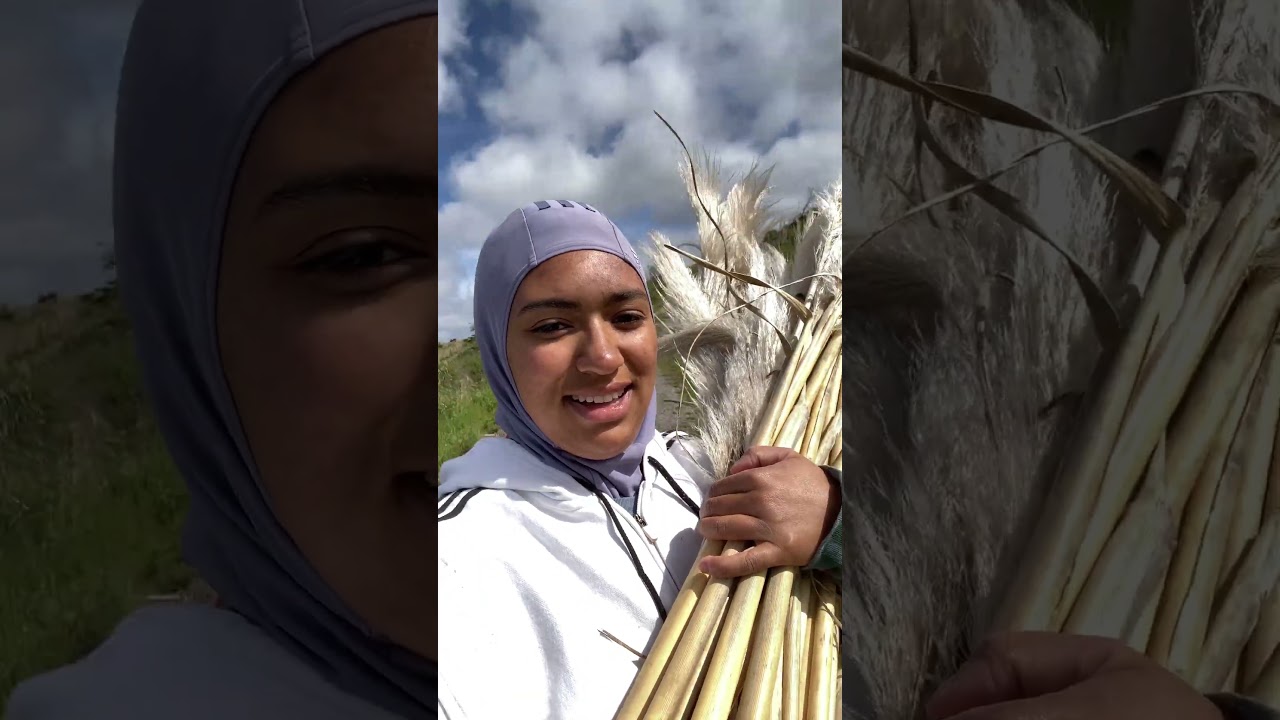 Apprenticeship Diaries Ep. 3