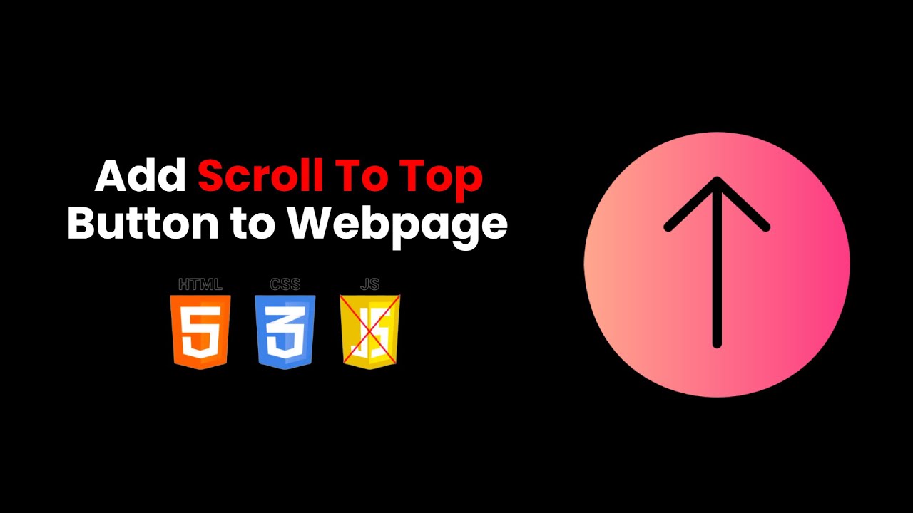 Scroll to top button - back to top Using Only HTML & CSS || Sticky Button ||  No Javascript