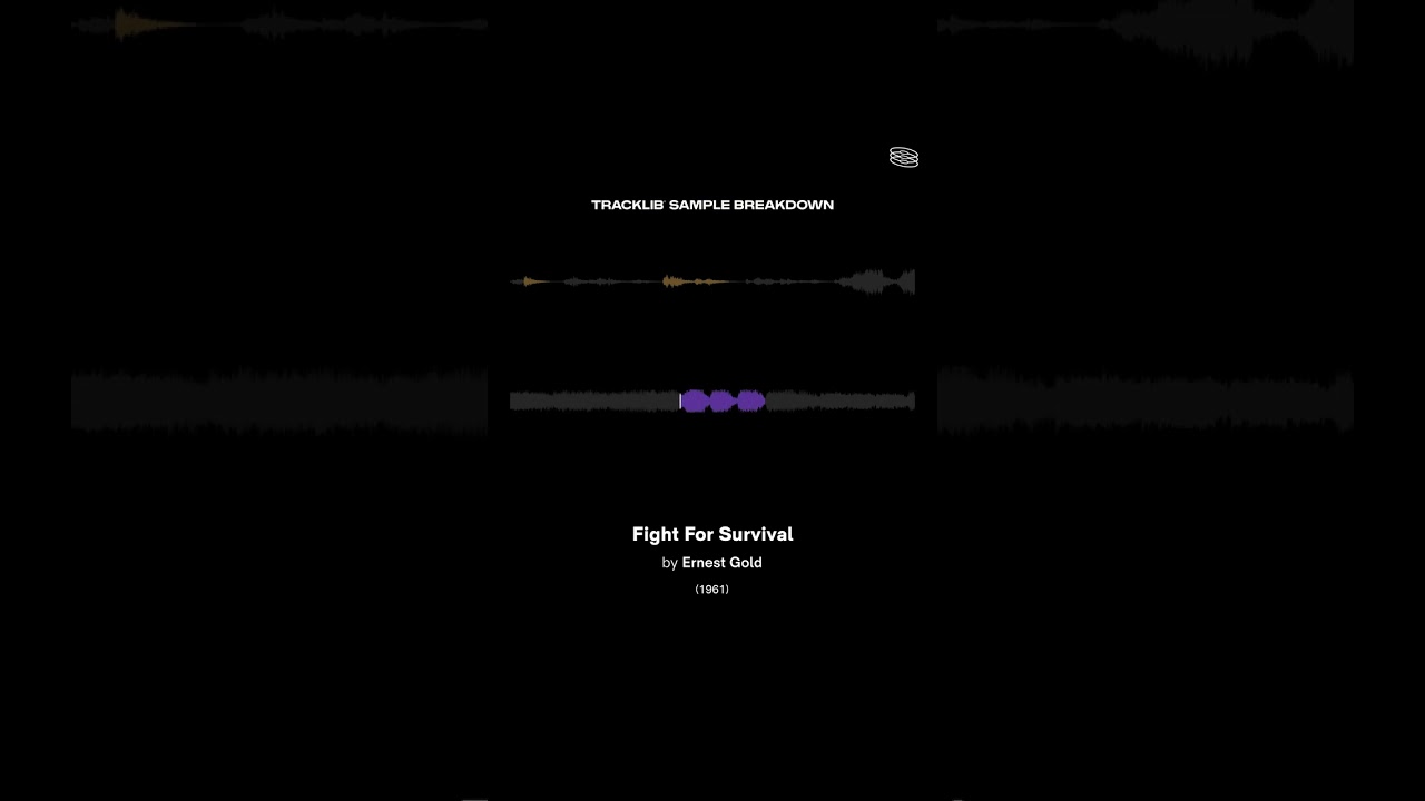 Watch all flips 💥 tracklib.com/electronic
