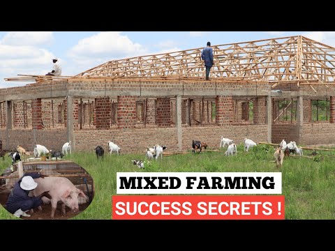 How To Earn MILLIONS From MIXED FARMING!
