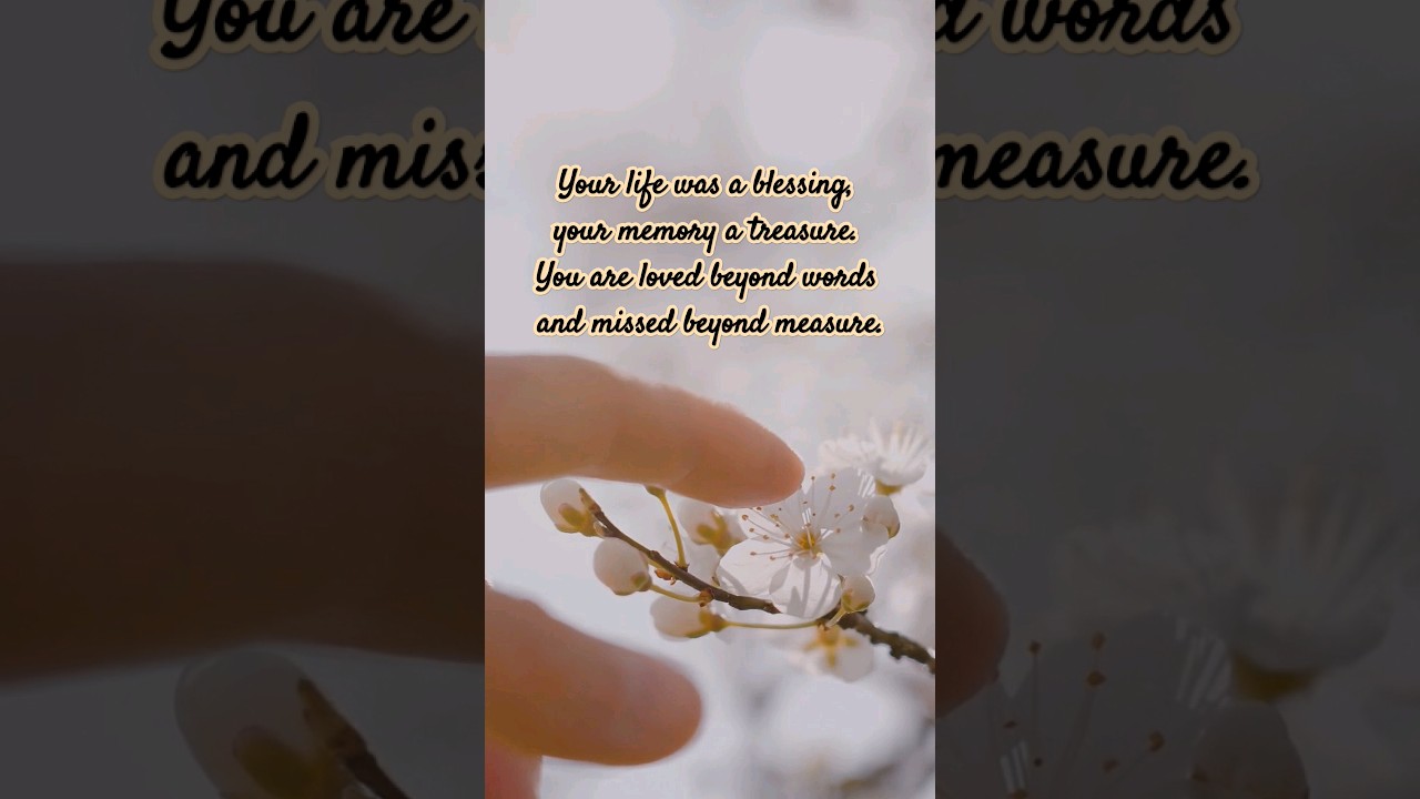 Message for a dead loved one. #memorial #goodbye #funeral #shorts #funeralmessage #shortsviralvideo