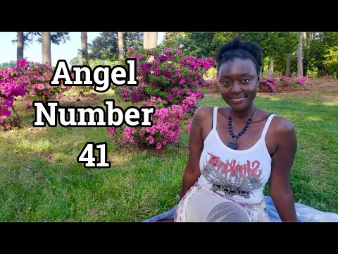 Angel Number 41