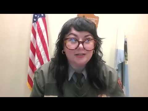 News Packages – Michaela Wilson