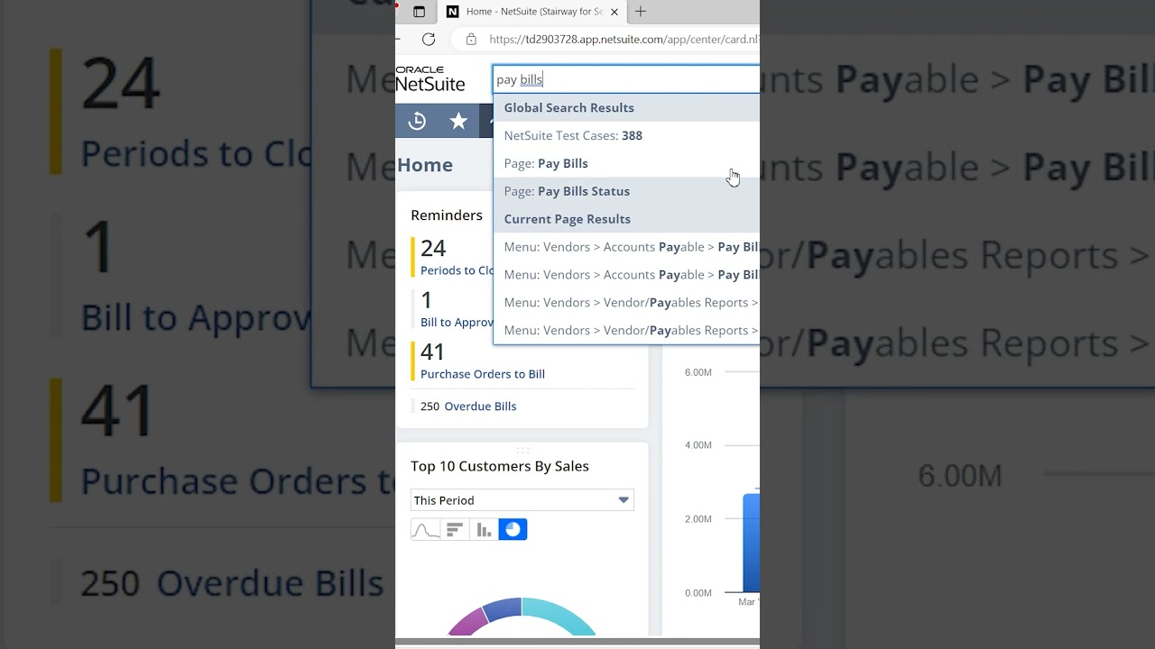 Navigating in NetSuite with the Global Search Bar