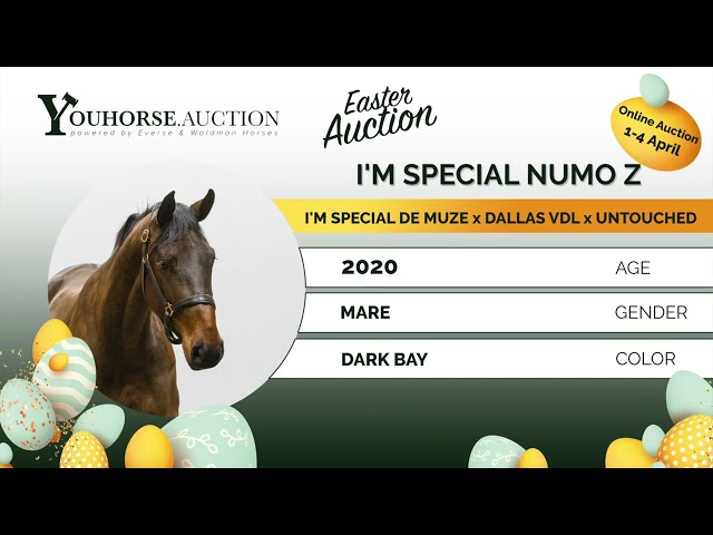 Youhorse.auction | I'm Special Numo Z