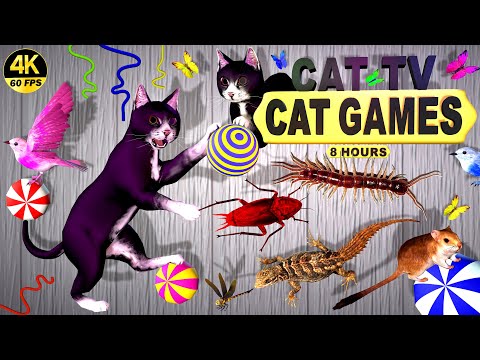 CAT GAMES | THE MOST FAVOURITE ULTIMATE CAT VIDEOS COLLECTION FOR FELINE FRIENDS | GAMES FOR CATS