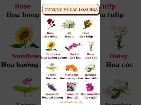 Từ vựng về các loài hoa #họctừvựngtiếnganh #smartstartenglish #hoctuvungtienganh #learnenglish