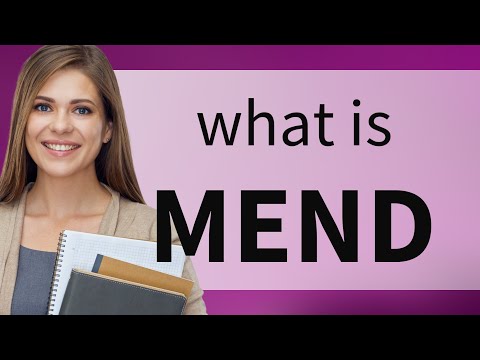 Mend — MEND definition
