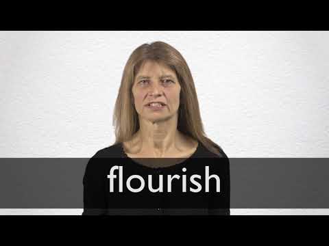 FLOURISH definition in American English | Collins English Dictionary