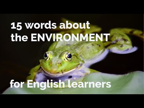 15 Words About the Environment gener…: English ESL video lessons