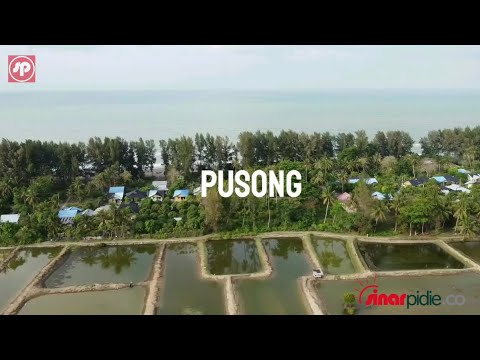 [Video] Pusong
