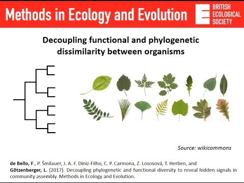 Decoupling Functional and Phylogenetic Dissimilarity between Organisms ...