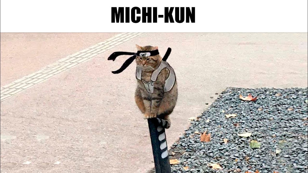 1 HORA DE MEMES RANDOM #300