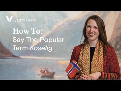 Norwegian Language Lesson- Koselig