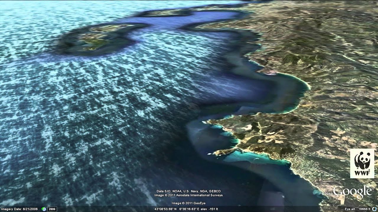 Best Dive Spots in Google Earth with Wannadive