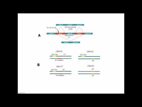 CFTR Screening Case Studies