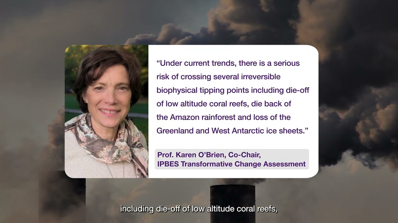 All about the IPBES Transformative Change Assessment