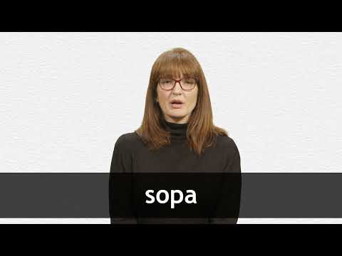 English Translation of “SOPA” | Collins Spanish-English Dictionary
