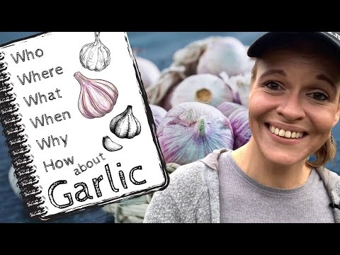 How to grow garlic at home/Everything beginner gardeners need to know