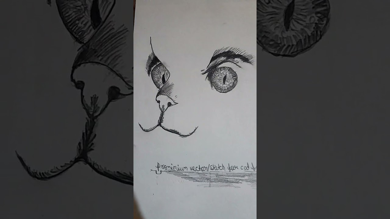premium vector/sketch for cute cat face