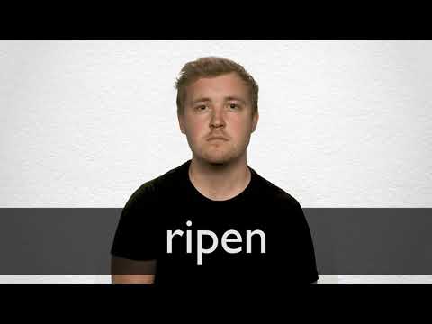 RIPEN definition and meaning | Collins English Dictionary