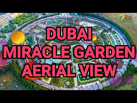 DUBAI MIRACLE GARDEN AERIAL VIEW 2021 #DubaiMiracleGarden #Dubai #DubaiLife #AbuDhabi #UAE