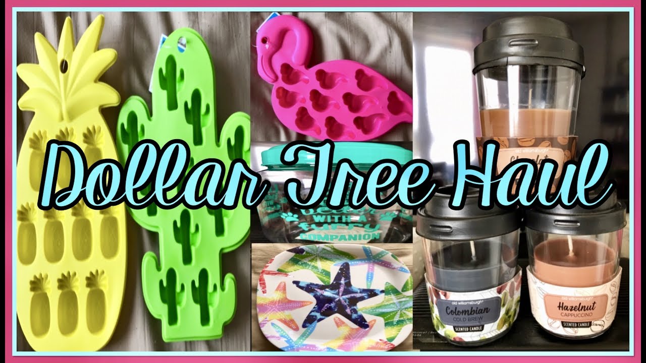 AMAZING DOLLAR TREE HAUL | ALL NEW FINDS | MARCH 31 2019